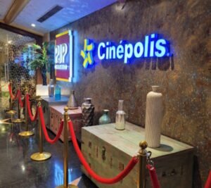P&M Group – Panddmall